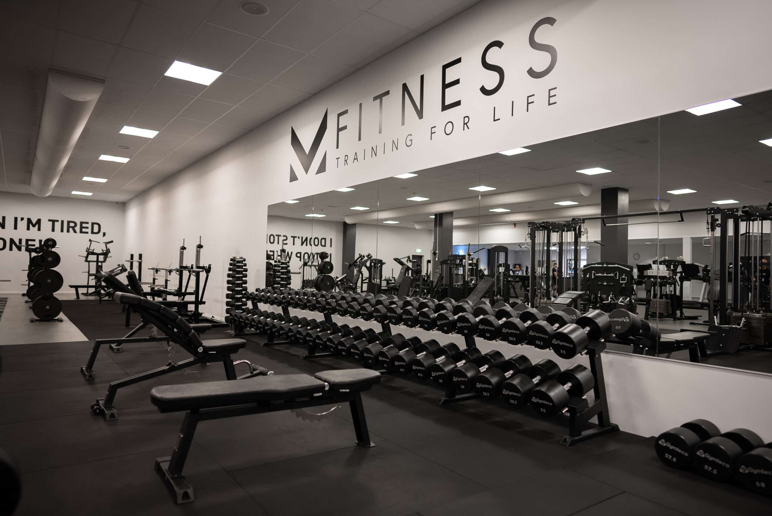 The Gym Owner’s Guide to Gym Benches | A50 Fitness